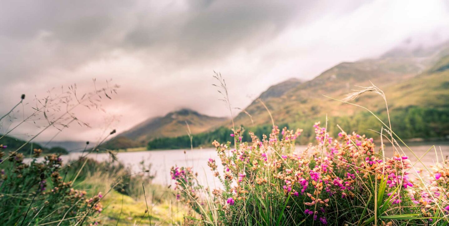 Our Values and Culture